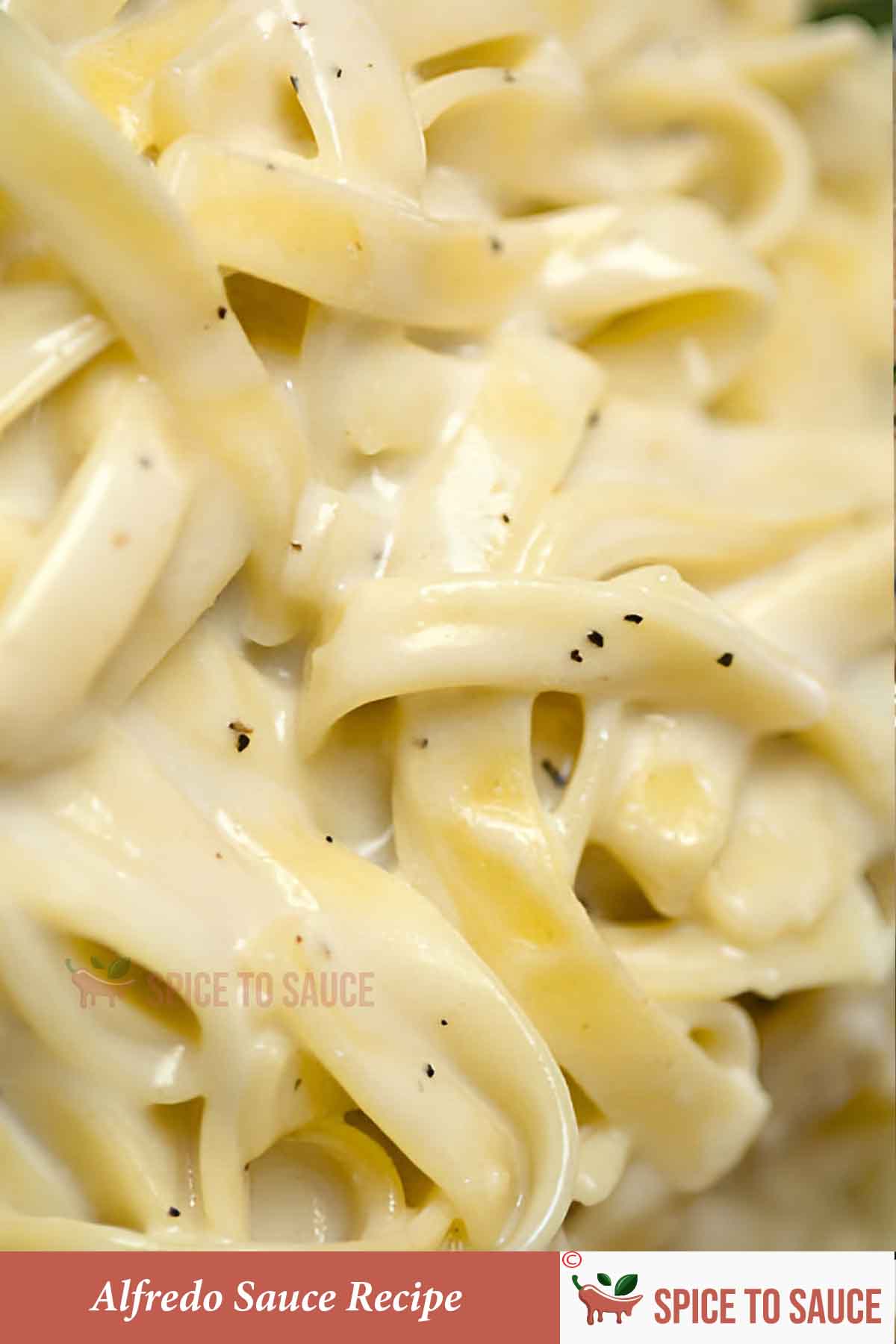 Homemade Easy & Quick Alfredo Sauce Recipe