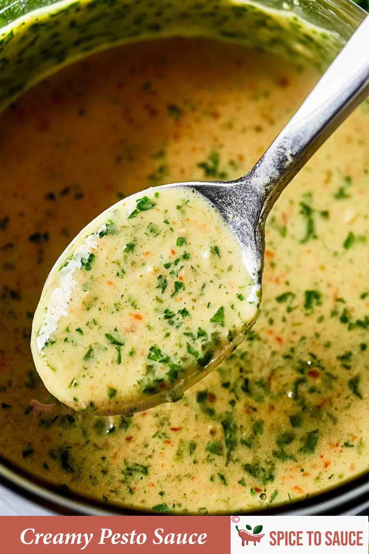 Easy Creamy Pesto Sauce Recipe – Rich, Smooth & Flavorful!