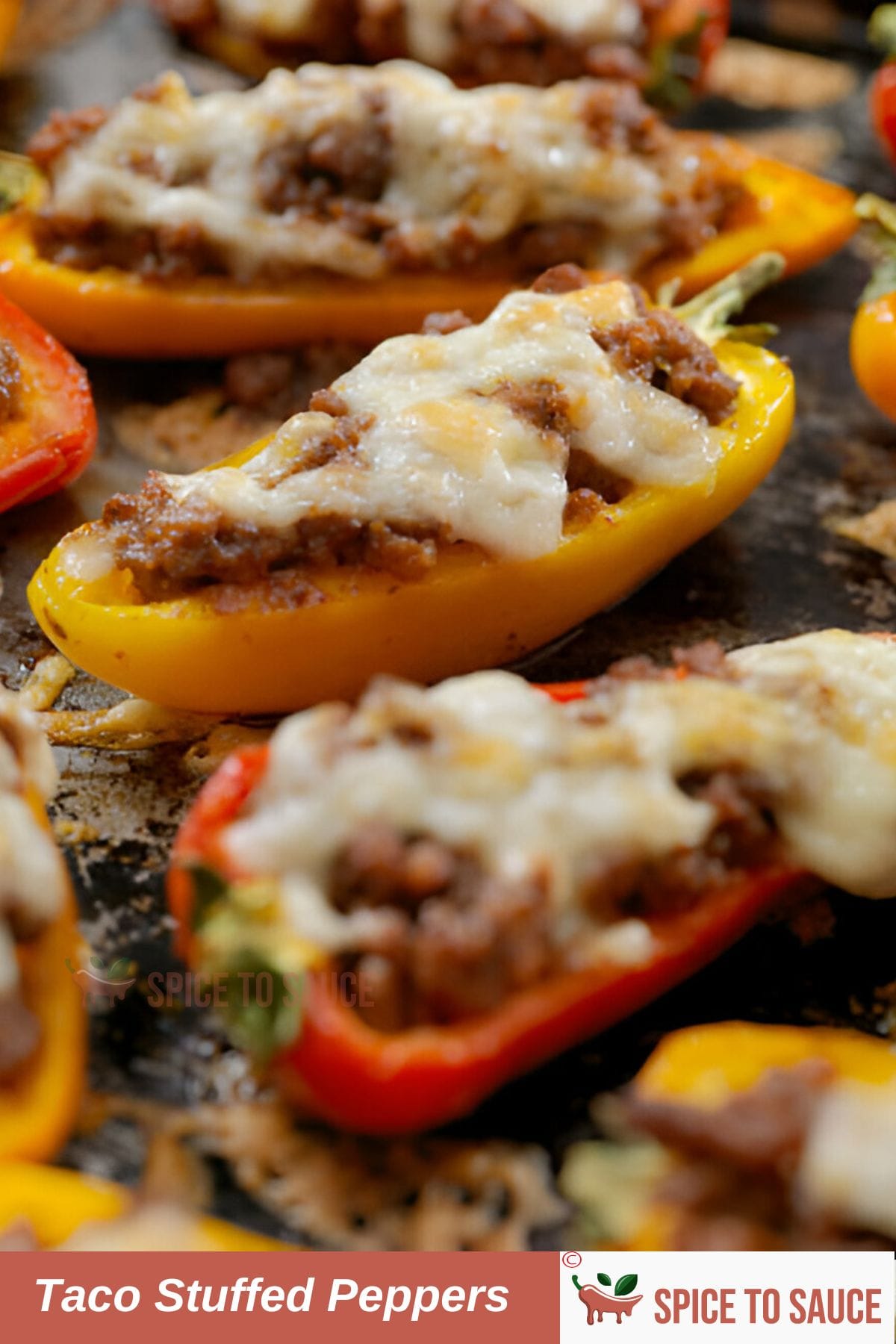 Homemade Taco Stuffed Peppers Recipe for Beginner