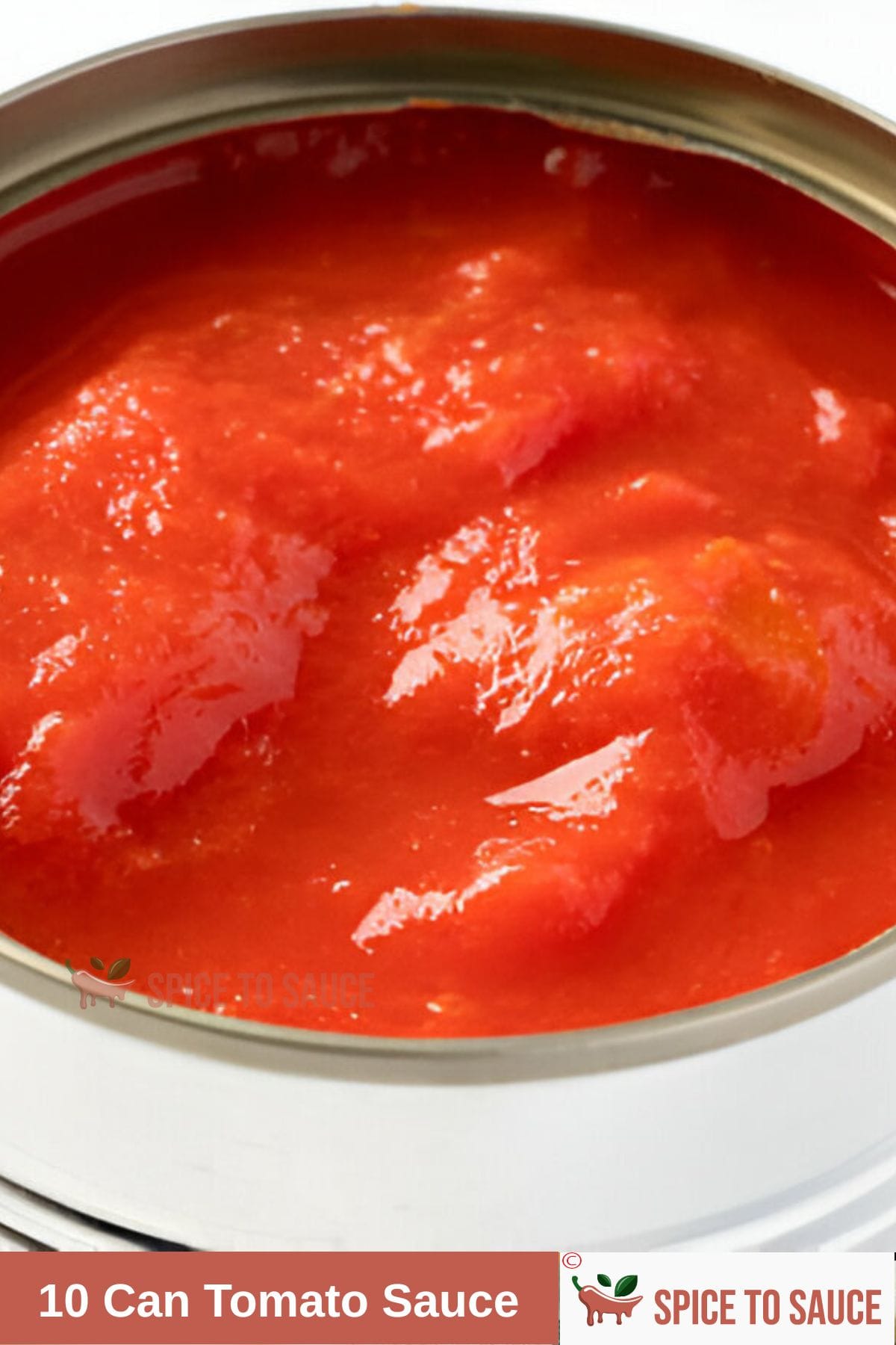 A Homemade Recipe of 10 Can Tomato Sauce | Spice to Sauce